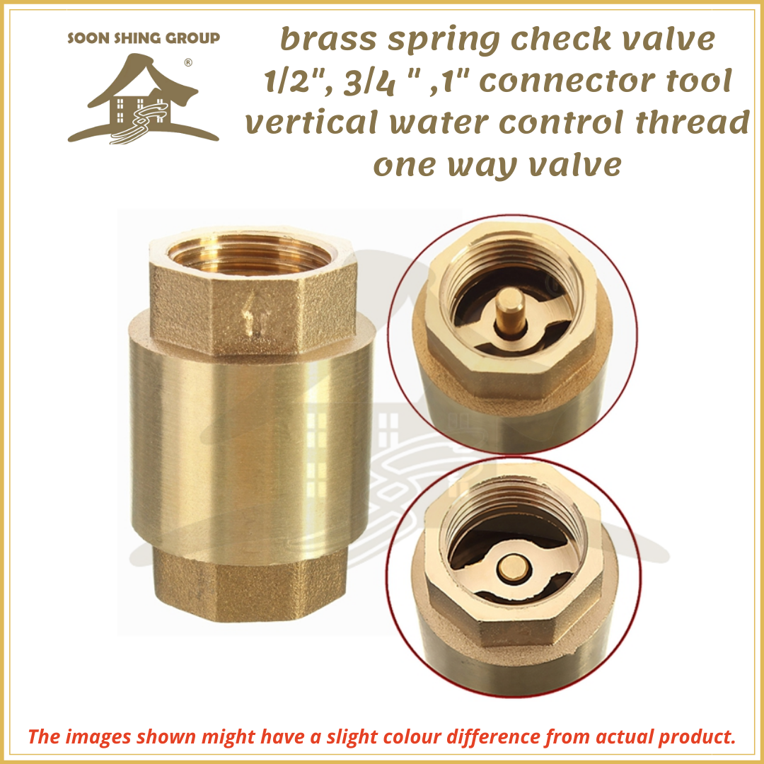 Heavy Duty Vertacil Spring Check Valve / Pvc Swing Non Return Valve ...
